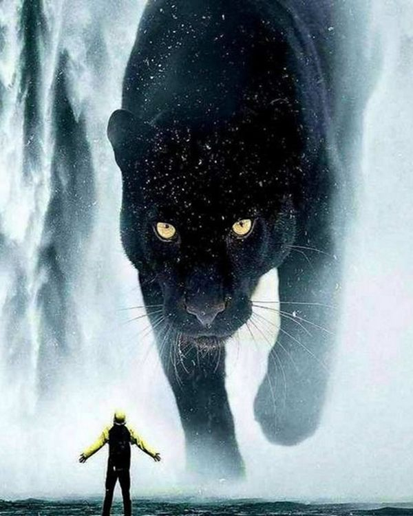 Картина по номерам на подрамнике 40х50 см — набор для творчества ...